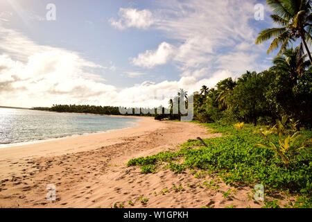 Beach in Uoleva Island, Tonga Stock Photo - Alamy