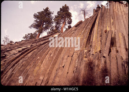 PECULIAR HEXAGONAL COLUMNS, SIMILAR TO A PILE OF FENCE POSTS Stock ...