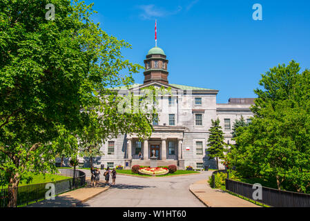The building in McGill University Stock Photo - Alamy
