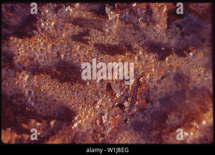 Scum Forms In Water Stock Photo - Alamy