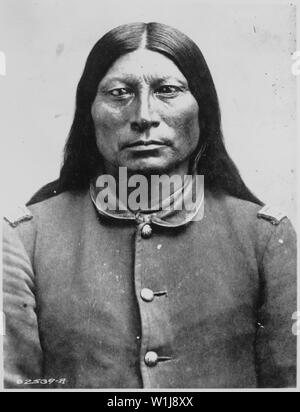 Sharp Nose (Ta-qua-wi), a Northern Arapaho chief, bust-length, full ...