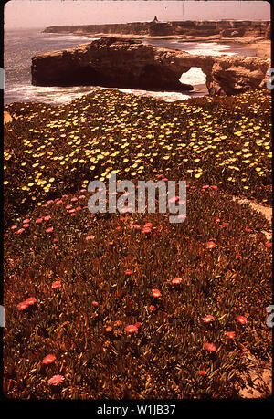 Southern California -- Natural Bridges Beach, Near Santa Cruz Stock ...
