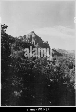 The Watchman at lower end of Canyon Stock Photo - Alamy