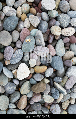 sea pebble beach with multicoloured stones, transparent waves with foam ...
