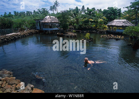 Swimming with Sea Turtles, Taomaga Turtle Cons.Area Satoalepai, Savai'i ...