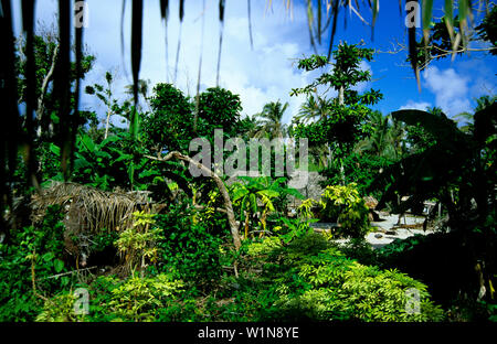 Tikopia - Temotu Province Solomon Islands - South Pacific Stock Photo ...