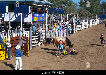 Mareeba Rodeo, Mareeba Queensland, Australia Stock Photo - Alamy