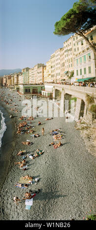 Sea life in Liguria, Italy Stock Photo - Alamy
