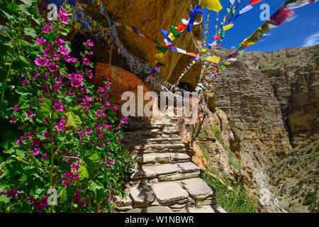 Ranchung Cave, Buddhist monastery, cave temple, gompa with prayer flags ...