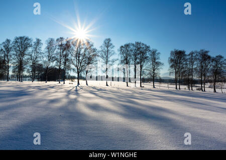 Staffelsee Lake near Uffing, Upper Bavaria, Bavaria, Germany Stock ...