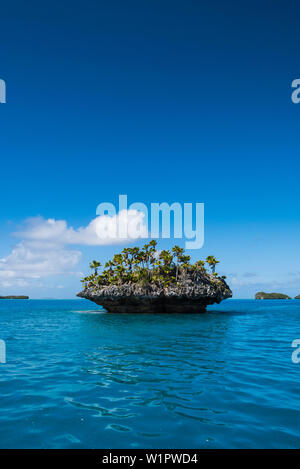A tiny mushroom-shaped island covered with palm trees and bushes stands ...