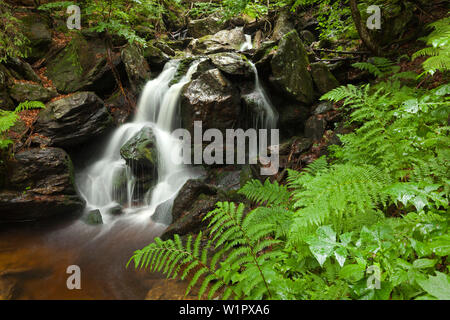 Hoellbachgspreng cascade, hiking path to Grosser Falkenstein, Bavarian ...