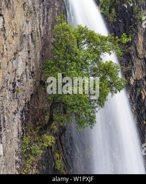 Bridal Veil Falls, Raglan, Waikato, North Island, New Zealand Stock ...