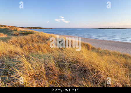 Beach of Tylösand, Halmstad, Halland, South Sweden, Sweden, Scandinavia ...
