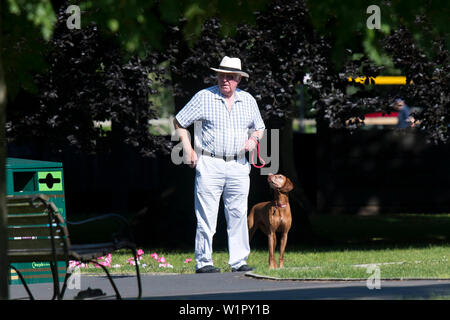 A person walks their dog in St Nicholas' Park in Warwick. Heavy rain ...