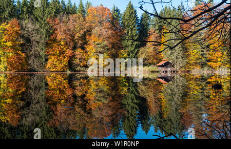 Big panorama of autumnal colored trees by the lake, reflection of blue ...
