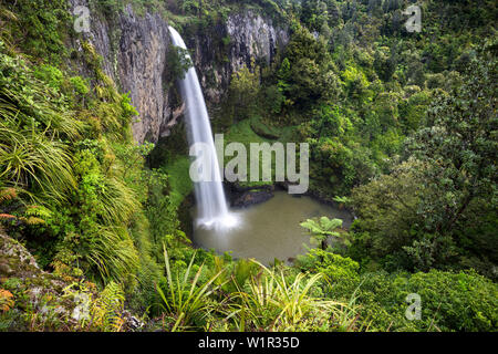 Bridal Veil Falls, Raglan, Waikato, North Island, New Zealand Stock ...