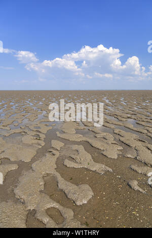 East Frisia or Eastern Friesland is a coastal region in the northwest ...