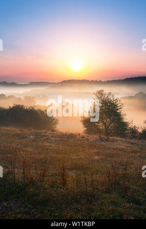 Morning mist, Eifelsteig hiking trail, Eifel, Rhineland-Palatinate ...