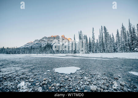 Riverside at Bow River, castle junction, Banff Town, Bow Valley, Banff ...