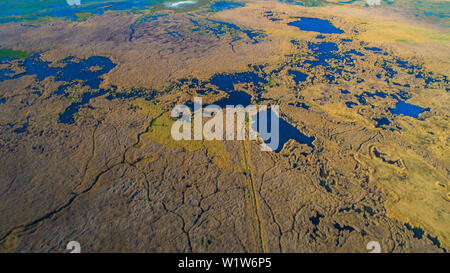 Marshes and Reeds wetland from top view aerial drone photo shoot. This ...