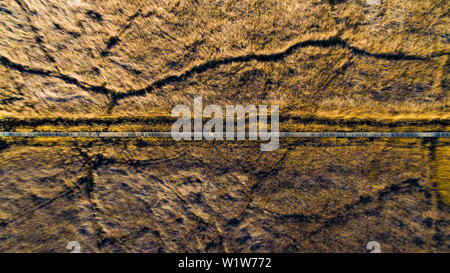 Marshes and Reeds wetland from top view aerial drone photo shoot. This ...
