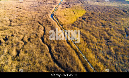 Marshes and Reeds wetland from top view aerial drone photo shoot. This ...