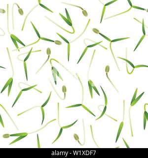 fennel seeds vector on white background Stock Vector Image & Art - Alamy