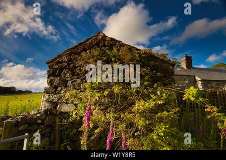 Traditional stone cottage with Welsh slate roof at Llanfihangel-Y ...