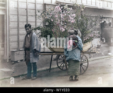 Child - Coat 1890s Stock Photo - Alamy