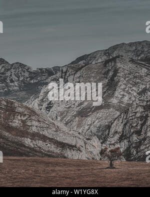 Mirador de les Bedules, peaks of Europe, natural park of Ponga ...