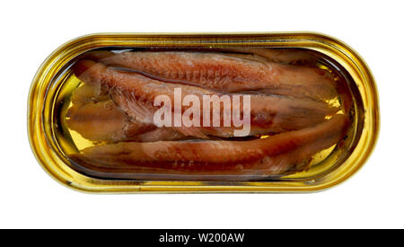 Tinned Anchovy fillets in sunflower oil, Andalusia, Spain, Western ...