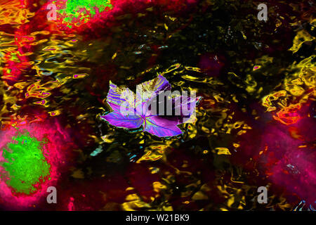 Leaf on water, solarized Stock Photo - Alamy