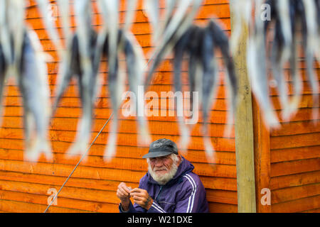 Bokkom fishes, Velddrif Village, Berg River, West Coast Peninsula ...