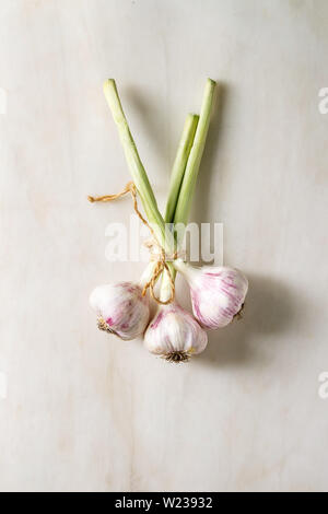 Bundle of young garden garlic Stock Photo - Alamy