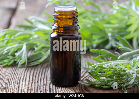 A dark bottle of wormwood essential oil with fresh Artemisia Absinthium ...