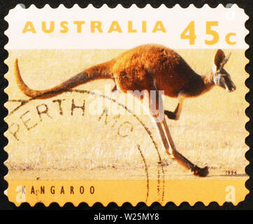 Postage stamp (Australia - Red kangaroo Stock Photo - Alamy