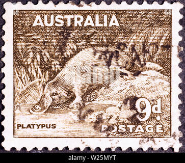 Platypus on australian postage stamp Stock Photo - Alamy