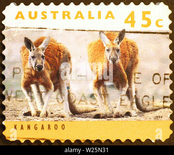 Postage stamp (Australia - Red kangaroo Stock Photo - Alamy