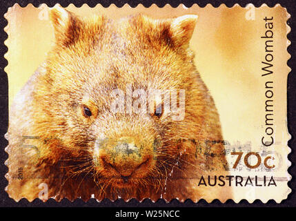 Postage stamp ( Australia - Wombat Stock Photo - Alamy