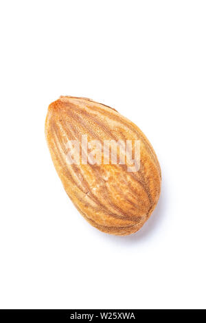 Dried apricots with almonds isolated on white background Stock Photo ...