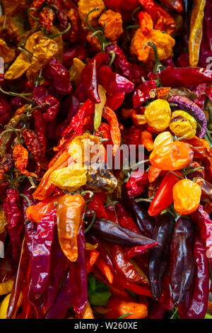 Collection of the dry chili pepper (natrural herbal food spices Stock ...