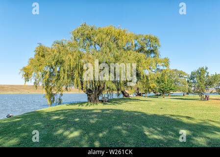 Camping sites next to the dam at Vrede in the Free State Province Stock ...