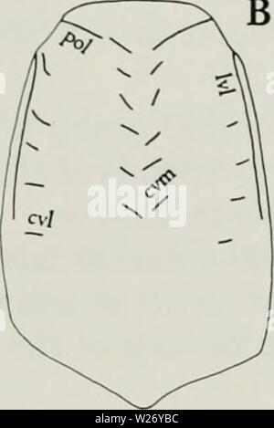 . The Cyathaspididae; a family of Silurian and Devonian jawless ...