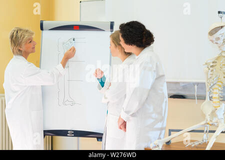 Young lecturer teacher teaching anatomy Stock Photo - Alamy