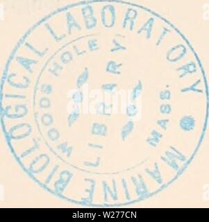 This image from the Danish Ingolf Expedition features marine animals ...