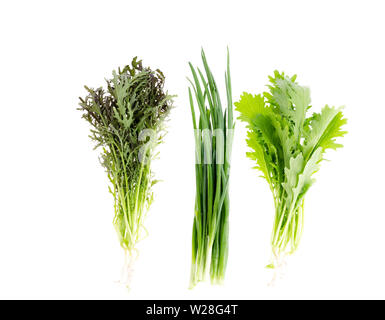 Pack of fresh spring onions isolated on white background. Fresh Green ...