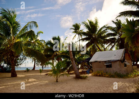 Traditional Tongan fale on a beach with palm trees on Uoleva, Tonga ...