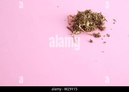 Infusion of raspberry leaf, recommended for pregnant women Stock Photo ...