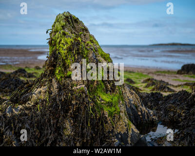 Rock pools at Rhosneigr, Anglesey, North Wales, UK. Taken on 12th ...